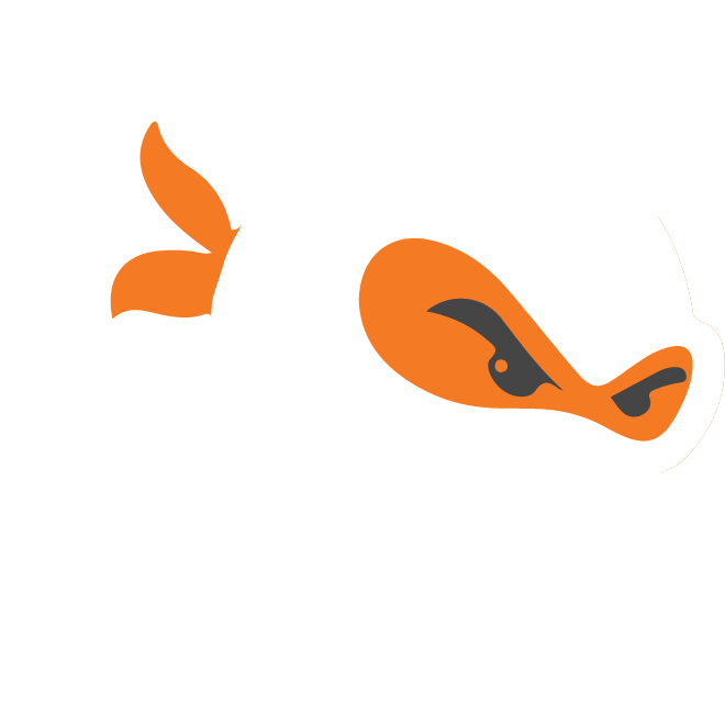 About Us - Selfmade Ninja Labs